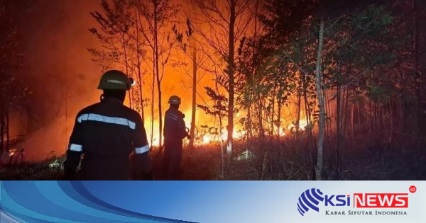 Kobaran Api Melahap Lahan Seluas Delapan Hektare di Kabupaten Bintan ...